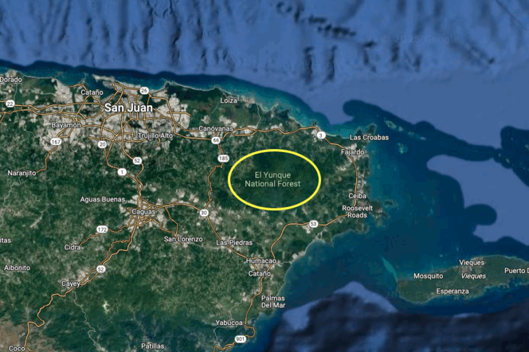 One Day in El Yunque Rainforest: The Best Itinerary + Things to Do ...